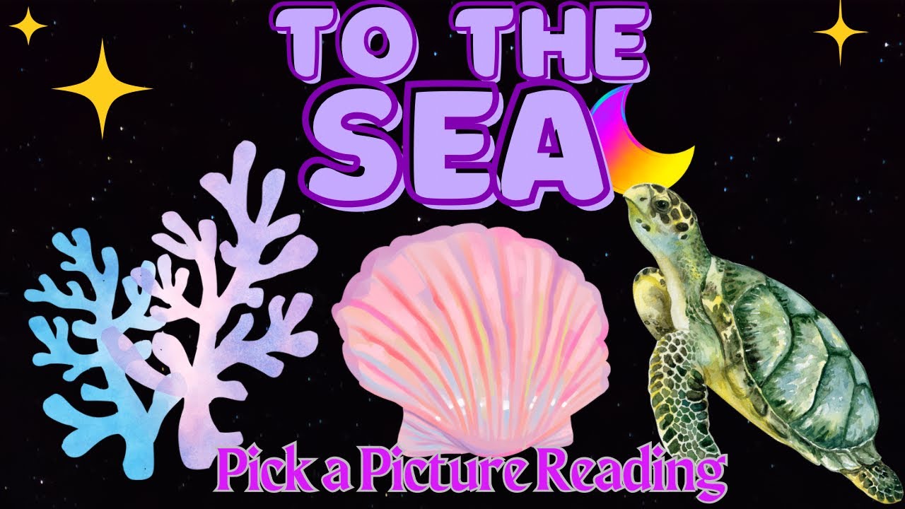 Healing Power of the Ocean 🌊 Pick a Card Reading 🐠 🐬 🦀 🐋 - YouTube