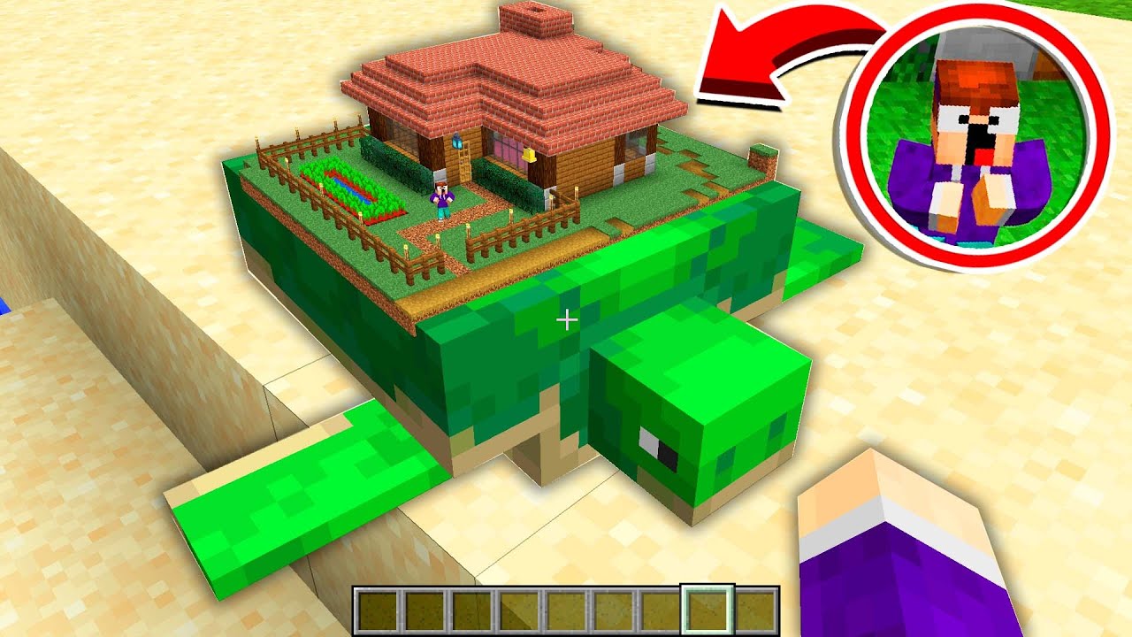 How to build TURTLE HOUSE in minecraft small TURTLE HOUSE in Minecraft ...