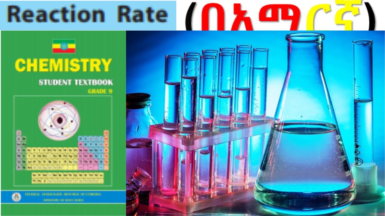 Reaction Rate (በአማርኛ): Grade 9 Unit 4 Chemical Reaction - YouTube