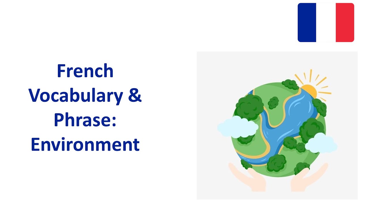 French Vocabulary & Phrase: Environment - YouTube