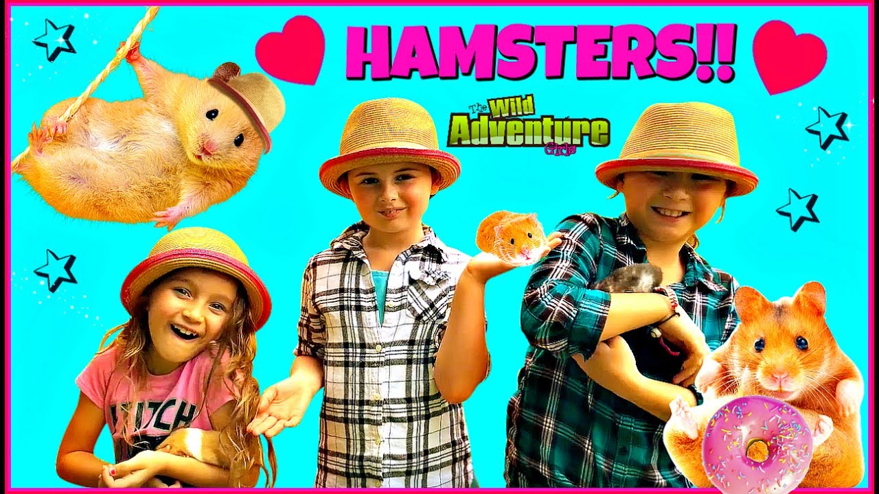 Hamsters for Kids! HAMSTER FACTS - Cute Cuddly Hamsters! - YouTube