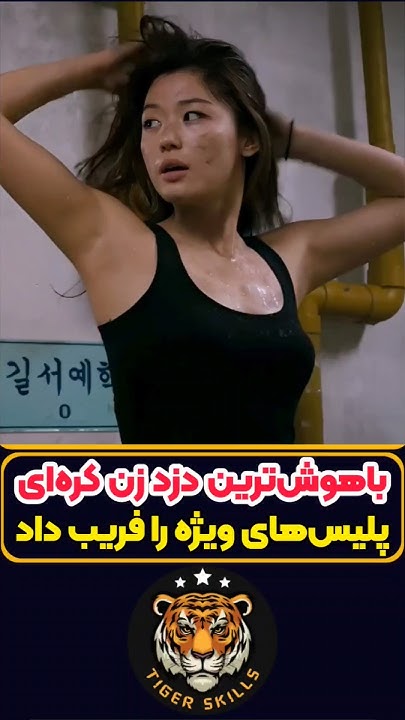 باهوش ترین دزد جهان که هرگز نباید بهش اعتماد کرد معرفی بهترین فیلم ها