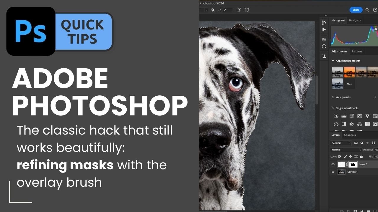 Photoshop Composite Trick: did you know you can refine your mask ...