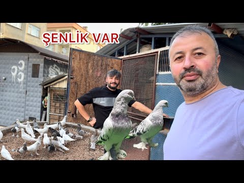 OYUN KUŞU BİR SANATTIR  İŞLEMESİNİ BİLMEK LAZIM DEDİ MUHARREM AYDIN KÜMESLERİ 