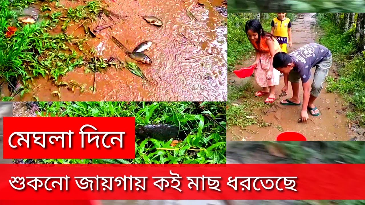 How to catch fish || Kai fishing techniques - YouTube