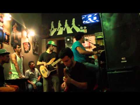 kantu cats - YouTube