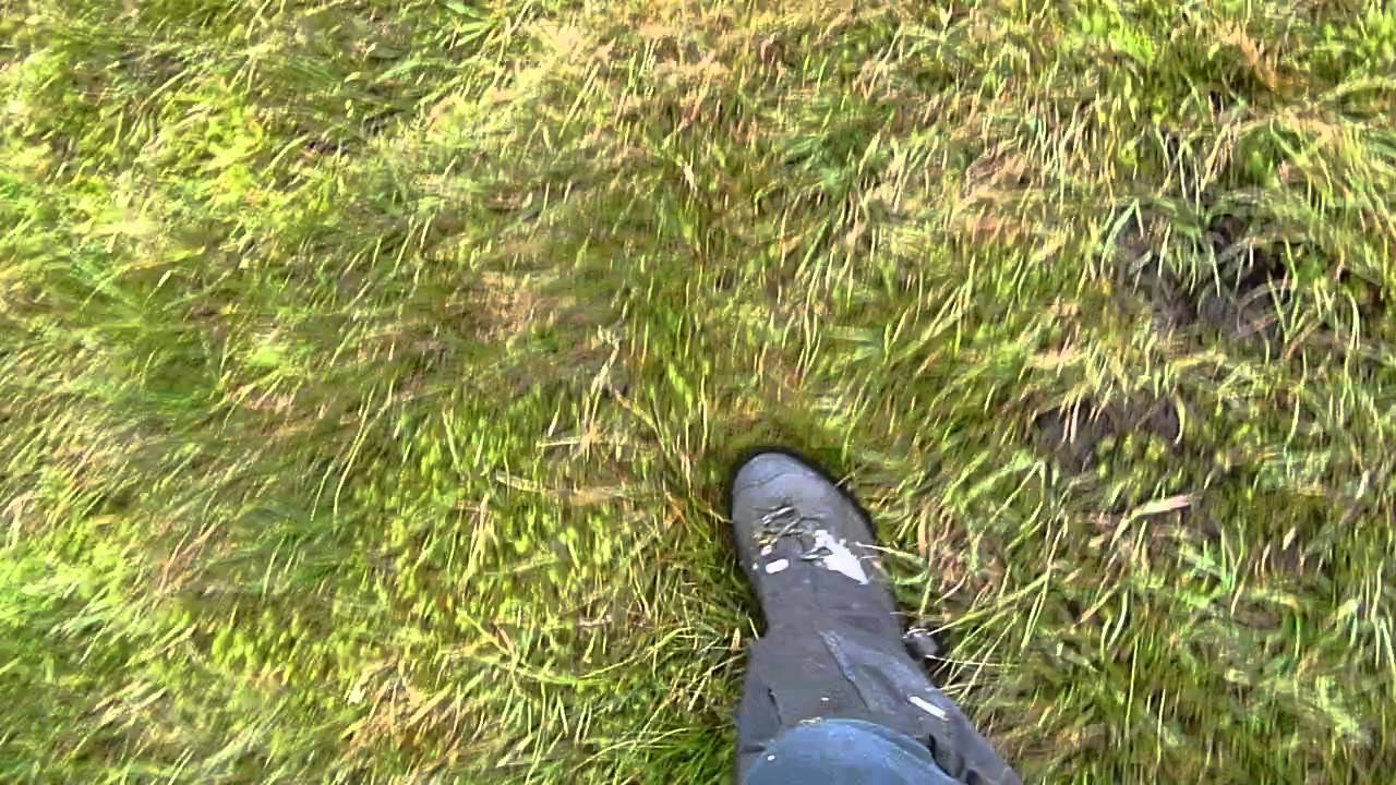 Freaky Moving Ground - Wobbly Grass - YouTube