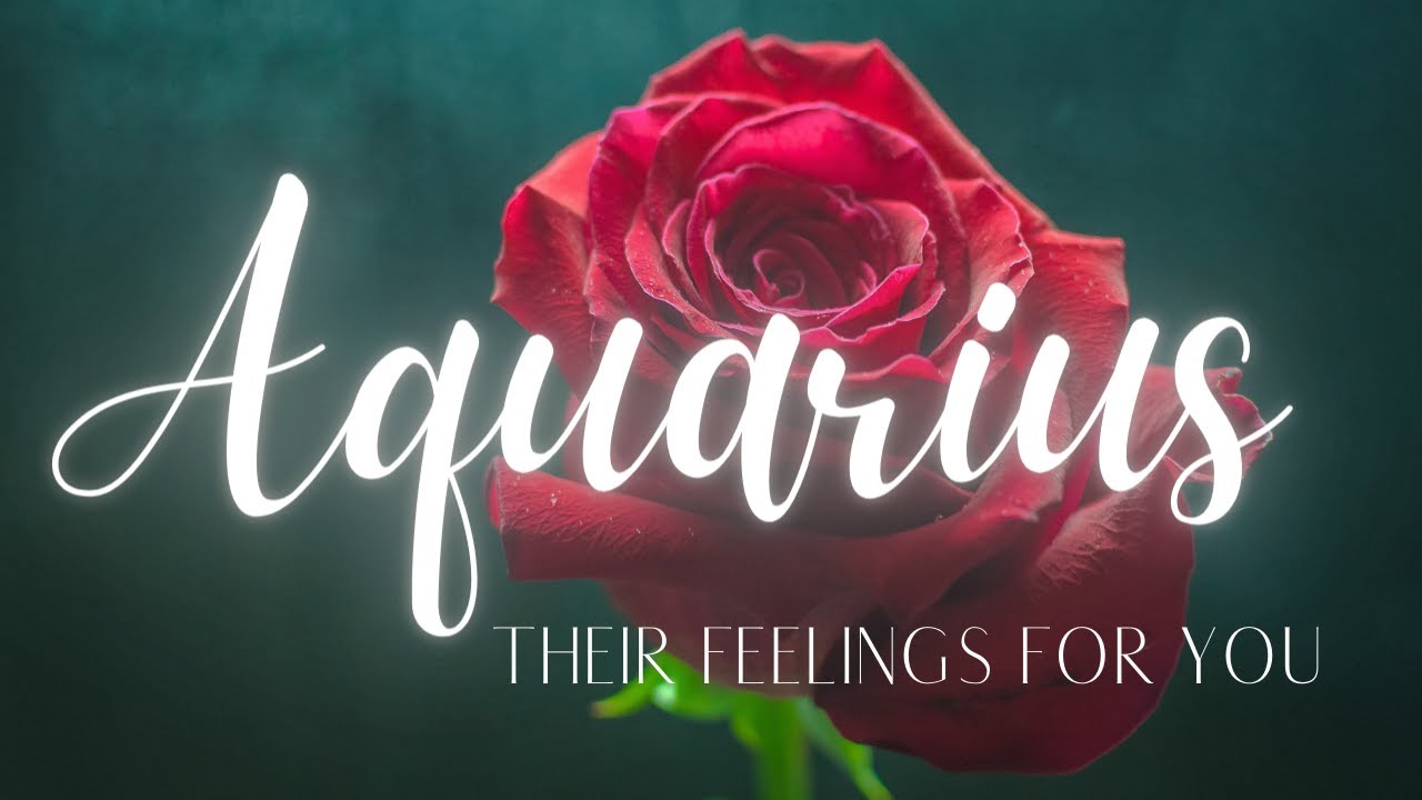 AQUARIUS LOVE TODAY - THEY KNOW WHAT THEY WANT AND IT’S YOU AQUARIUS ...