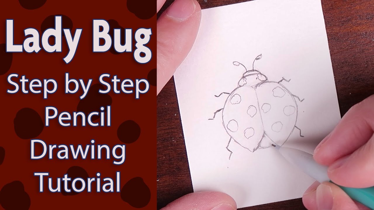 How to Draw a Ladybug – Easy Step-by-Step Pencil Drawing for Beginners ...