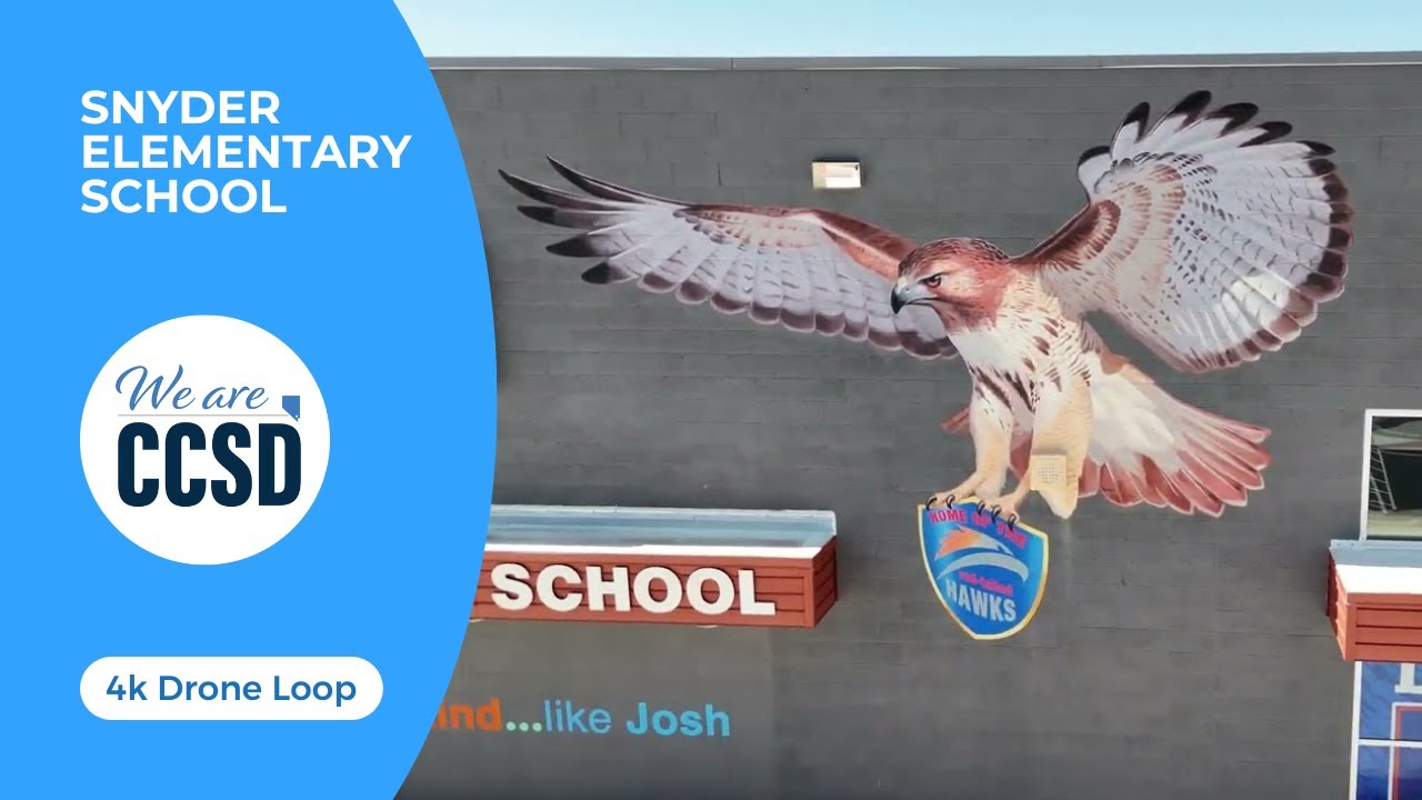William E. Snyder Elementary School - 4k Drone Loop - YouTube