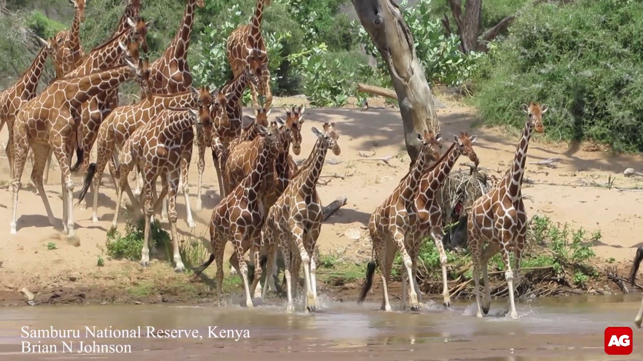 Epic Africa 3 - YouTube
