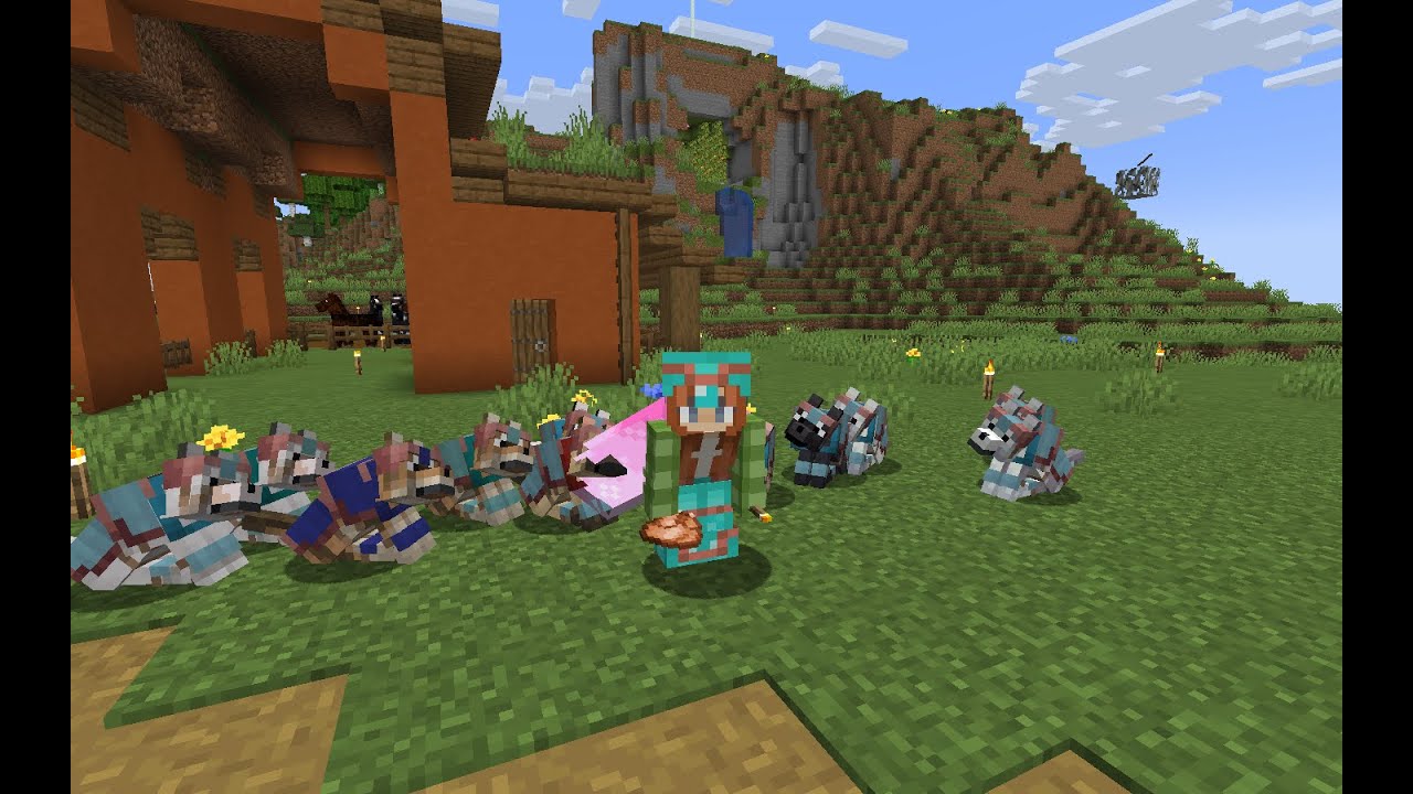 Completing My Pack! - Wayfarer's SMP Episode 7 - YouTube