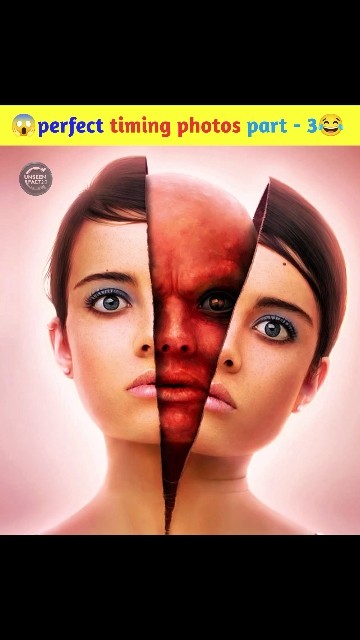 😱Perfect timing photos part -3😂 #perfecttiming #capturedmoment # ...