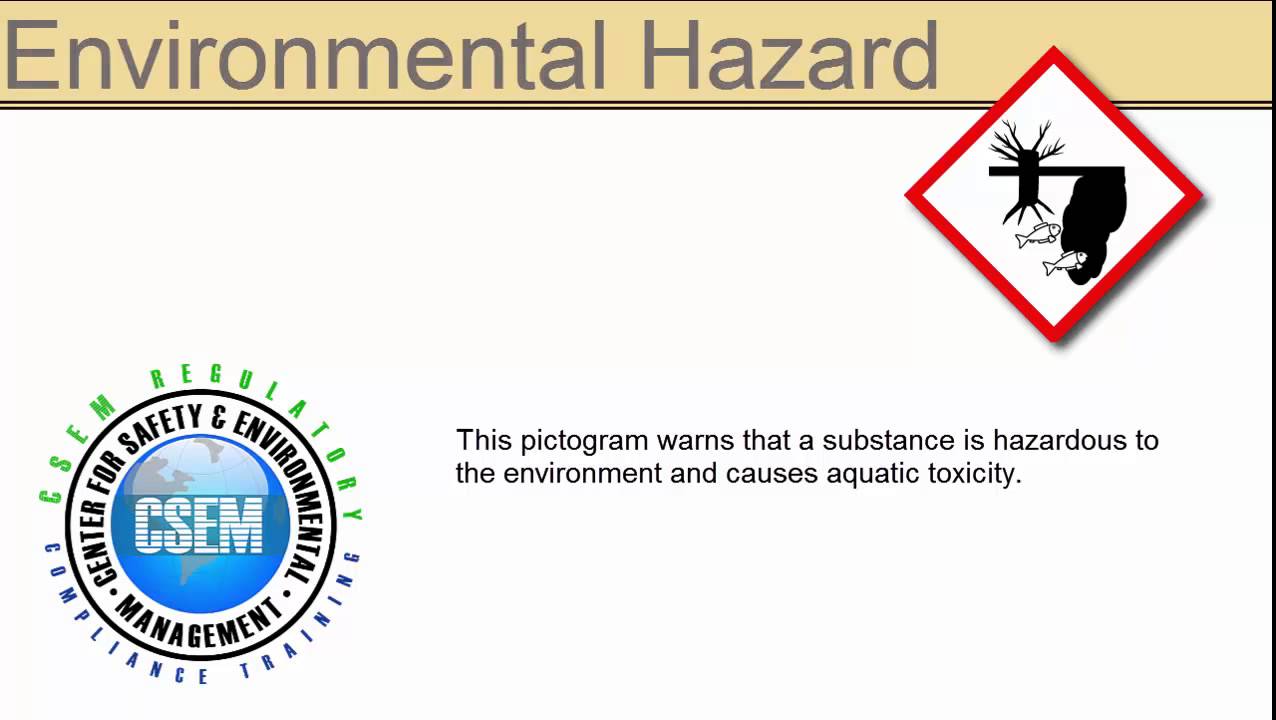 Definition Pictogram Environmental Hazard YouTube definition-pictogram-environmental-hazard-youtube