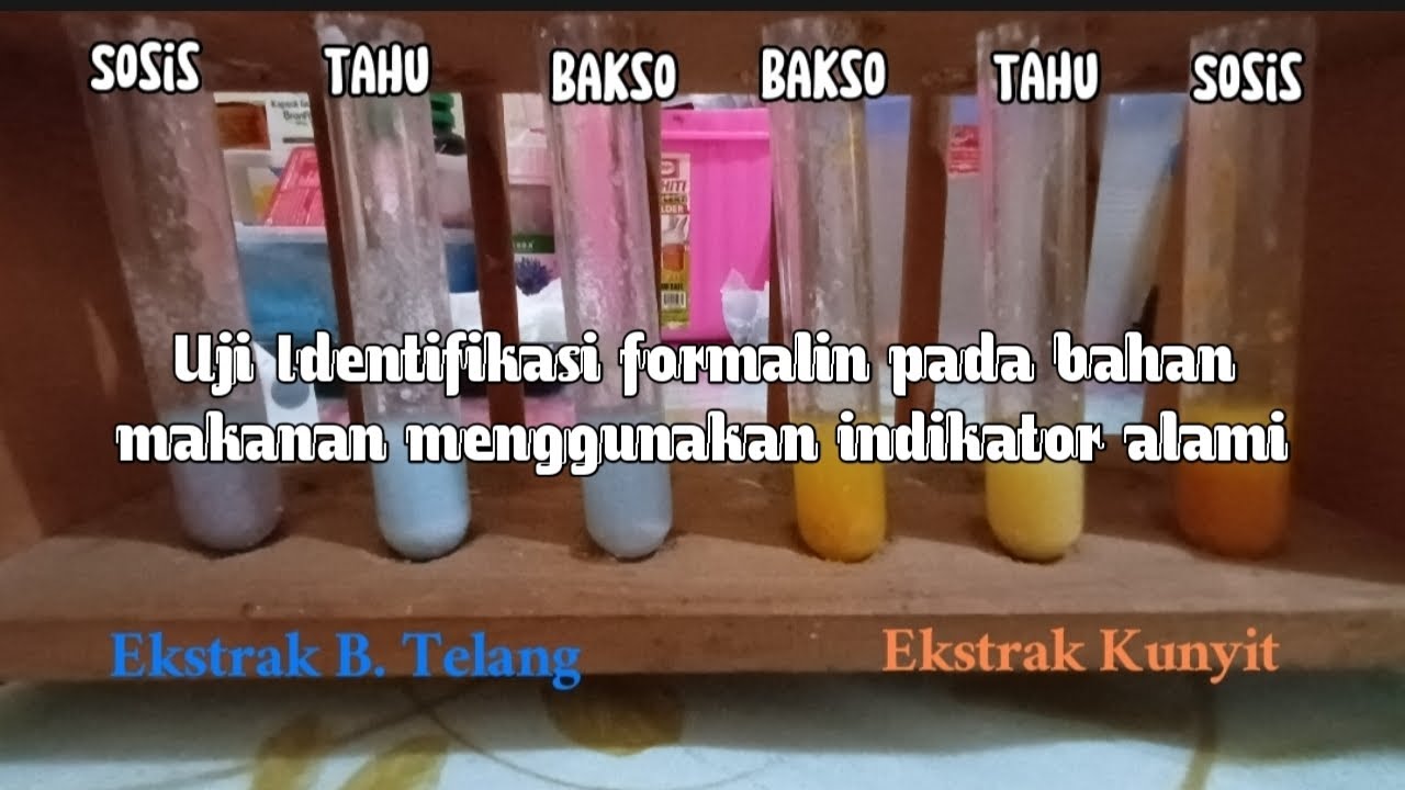 TEMA 2 | Praktikum Uji Identifikasi Formalin Pada Bahan Makanan ...