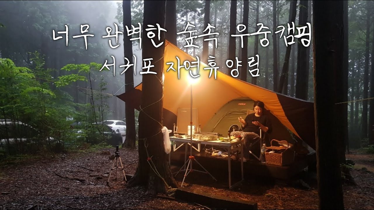 제주 서귀포 자연휴양림 캠핑장 숲속 우중캠핑 제주도민이 추천하는 숲속 캠핑 전기차를 활용한 전기 사용 캠핑 캠핑