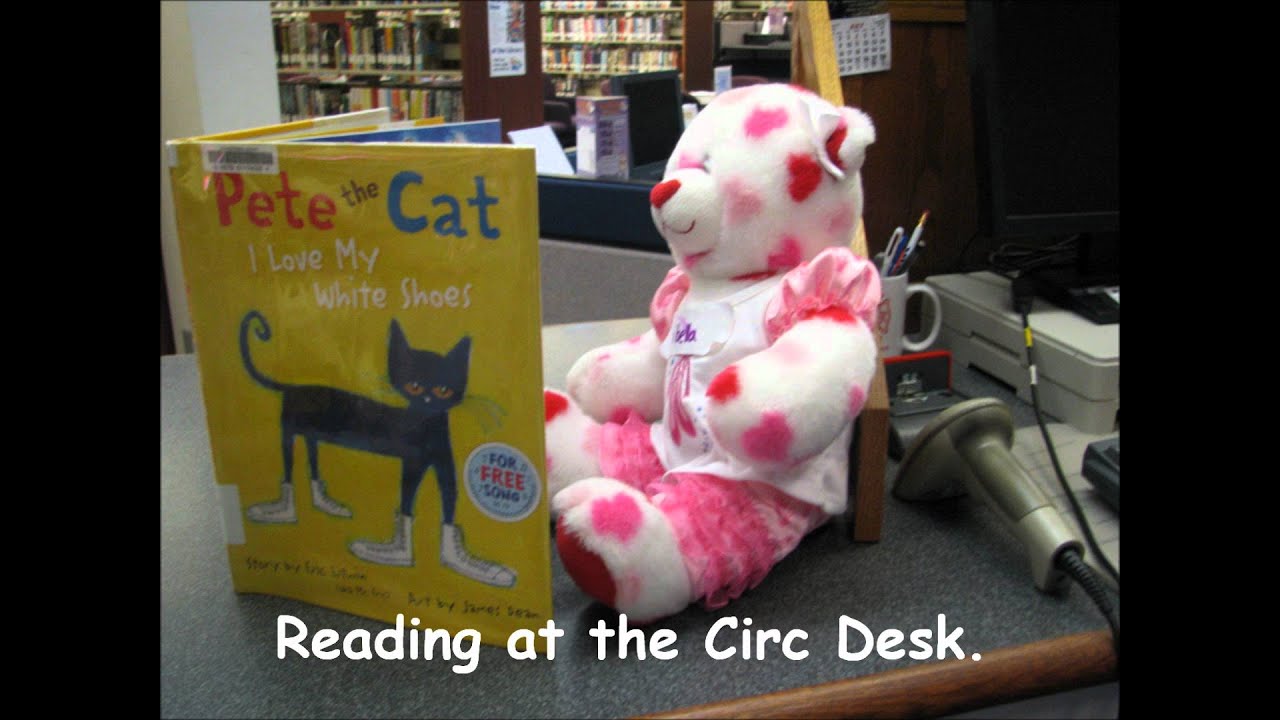 A Teddy Bear Sleepover - YouTube