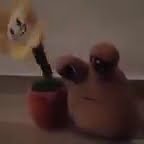 Flowey bailando con pou triste #pou #flowey #undertale #humor #shitpost ...