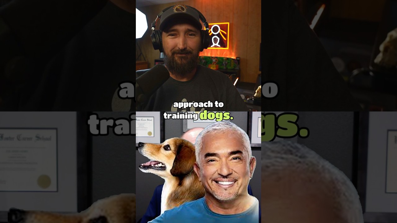 #dogs #skywatchtv #gospel #bible #Christ #family #network #gospel # ...