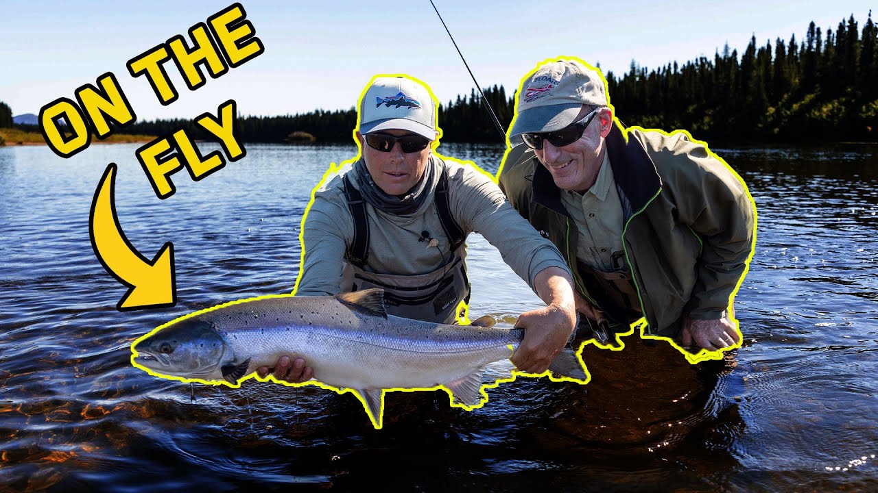HUGE Atlantic Salmon in Labrador | Flowers River Lodge - YouTube