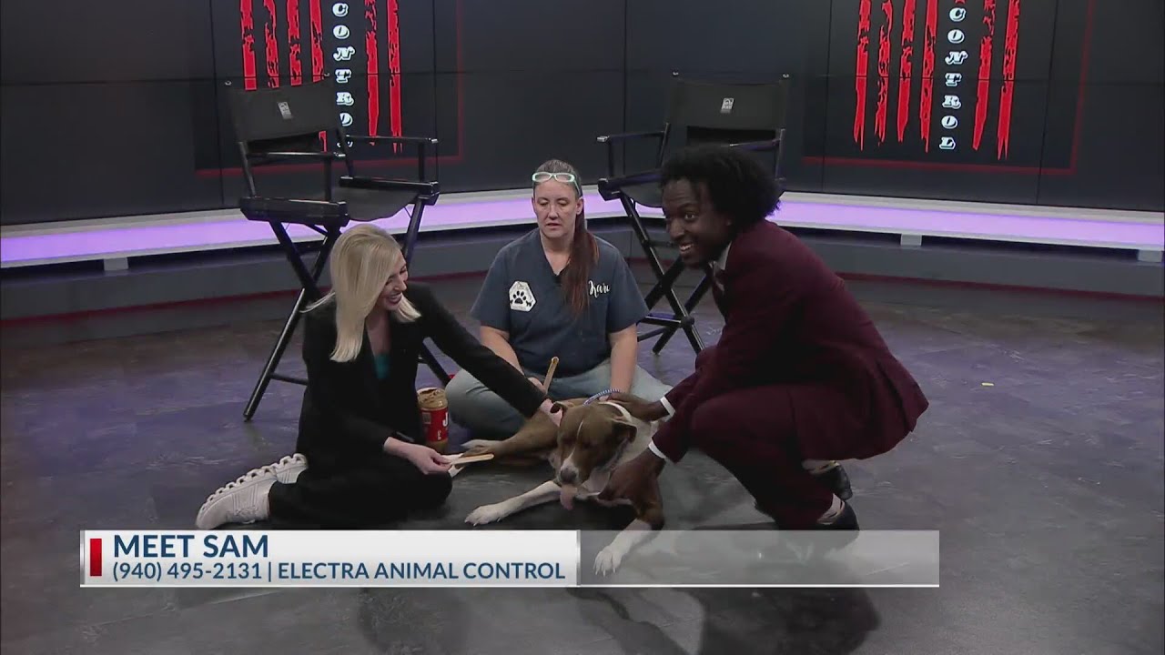 Meet Sam from the Electra Animal Control! - YouTube