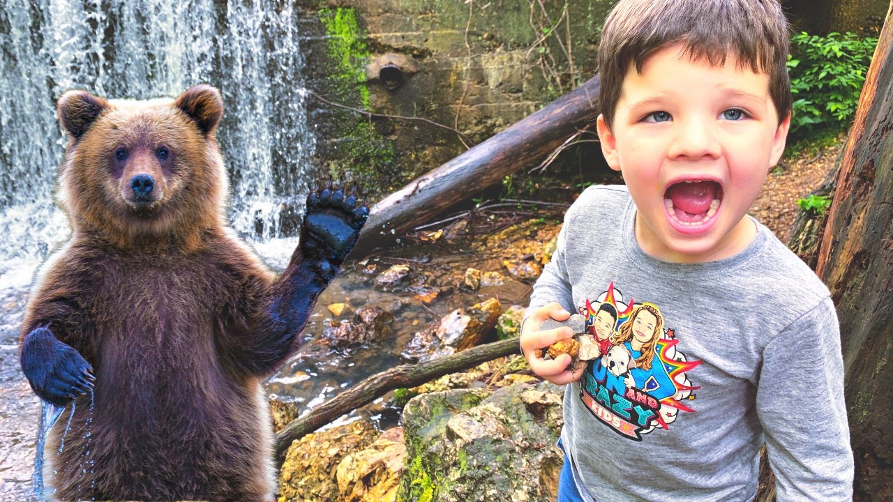 Caleb GOES on a Bear Hunt Adventure IN THE WOODS! We are Going on a ...