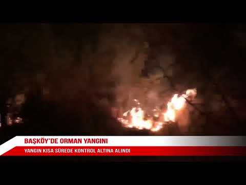 BAŞKÖY’DE ORMAN YANGINI