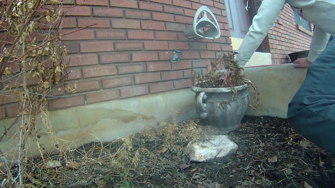 Cleaning and planting my front flower beds - YouTube