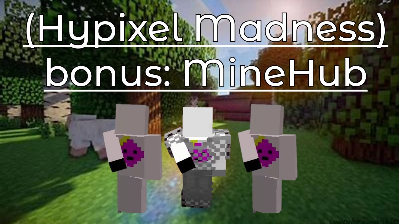 Minehub Madness- BONUS (Hypixel Series) - YouTube