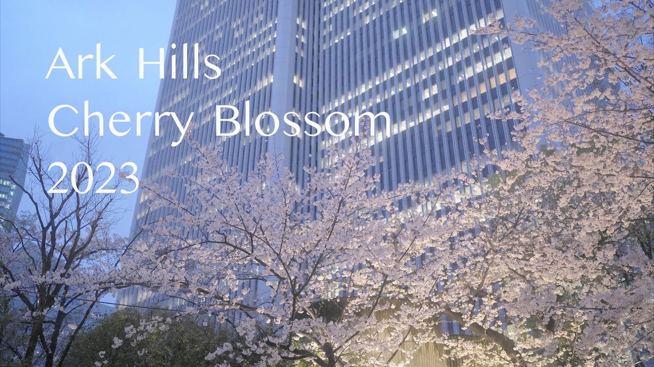 Ark Hills Cherry Blossom 2023 - YouTube