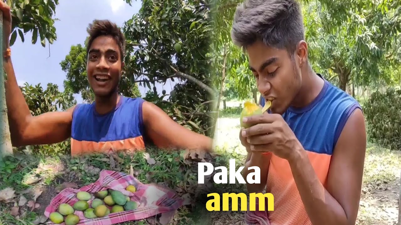 Paka aam songrokkhon - YouTube
