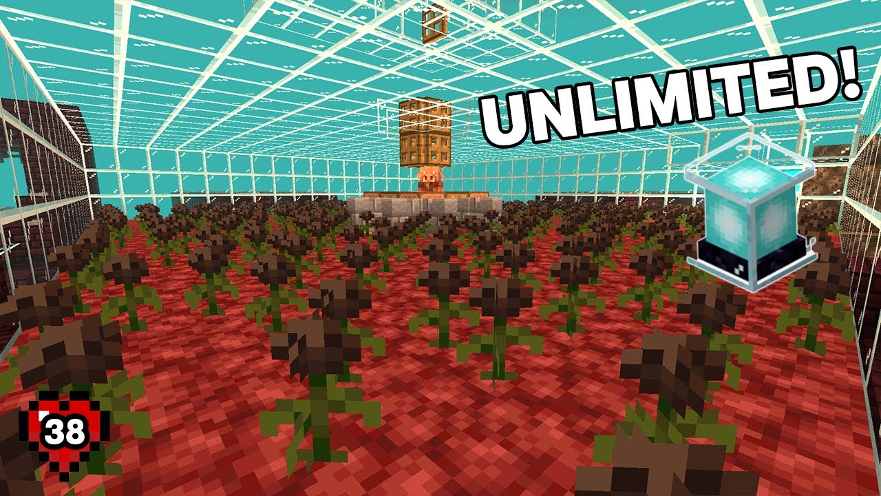 I Built A Wither Skeleton Farm In Survival Minecraft Part 2 of 2 (38 ...