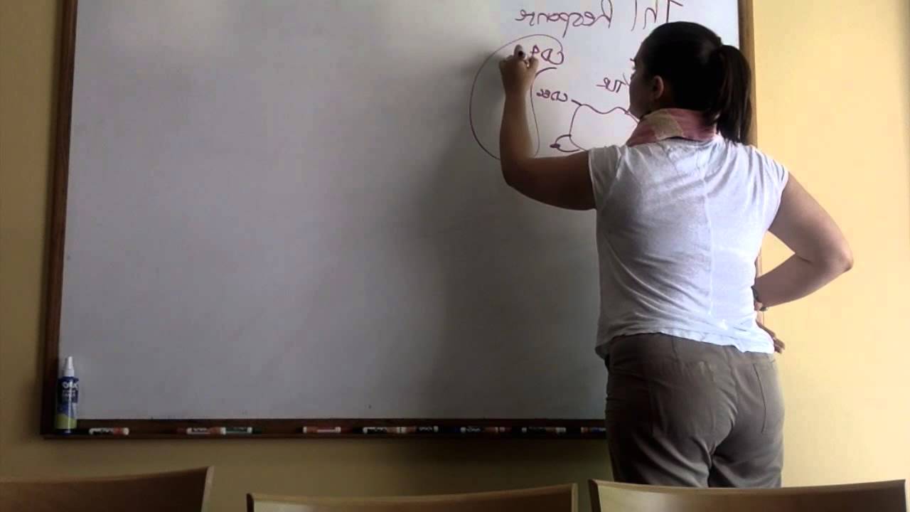 Anna Teaching Trailer Final - YouTube