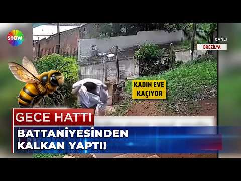 Katil arılar saldırdı!