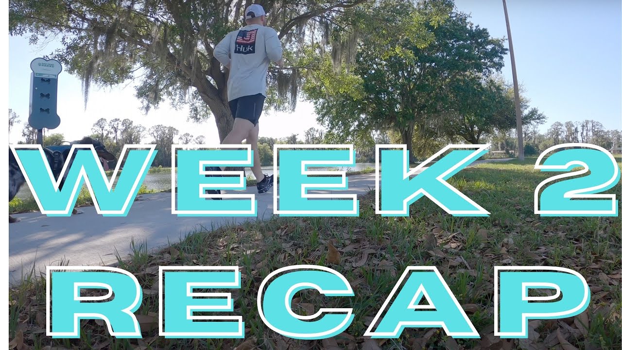 Week 2 Update - YouTube