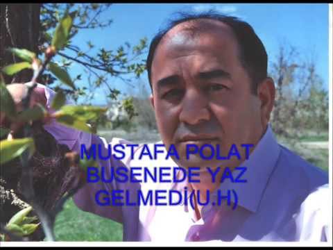 MUSTAFA POLAT BU SENEDE YAZ GELMEDİ