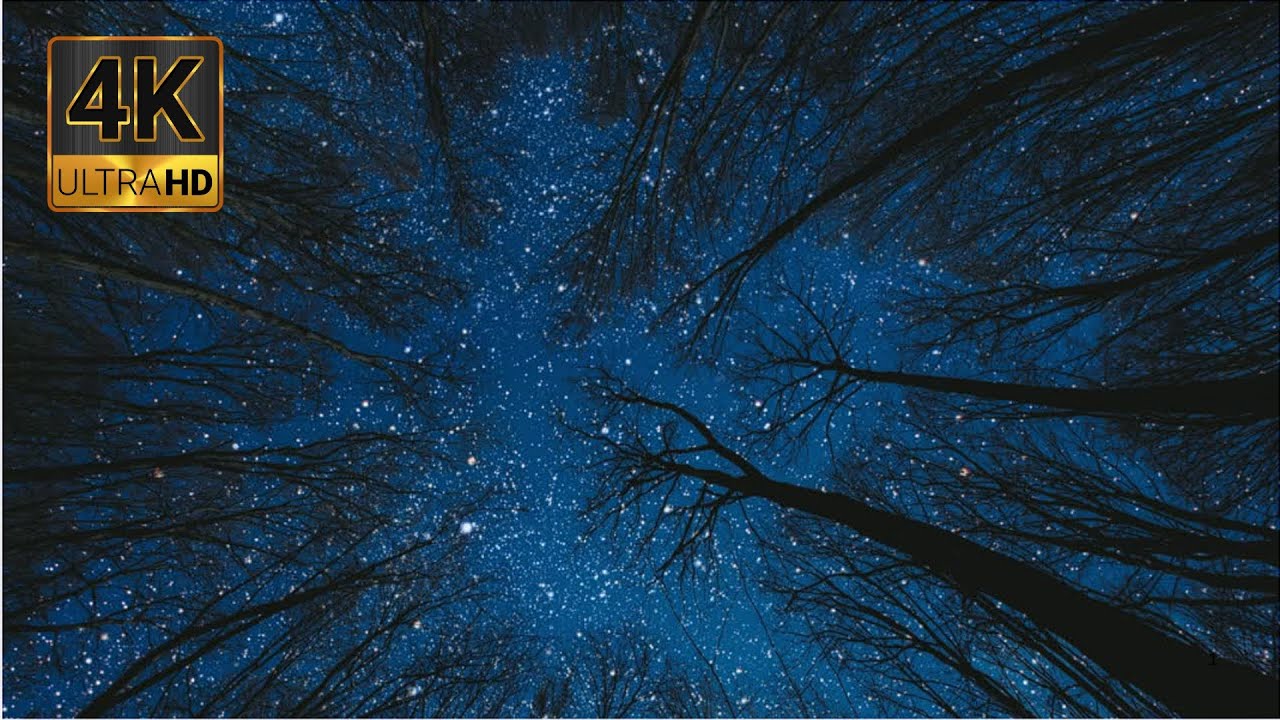Infinite Galaxy Loop 4K | Mesmerizing Cosmic Journey - YouTube