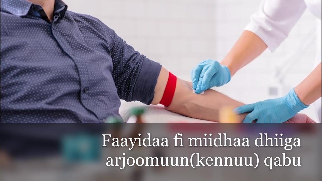 Faayidaa Fi Miidhaa Dhiiga Gumaachuun Qabu Youtube 6981
