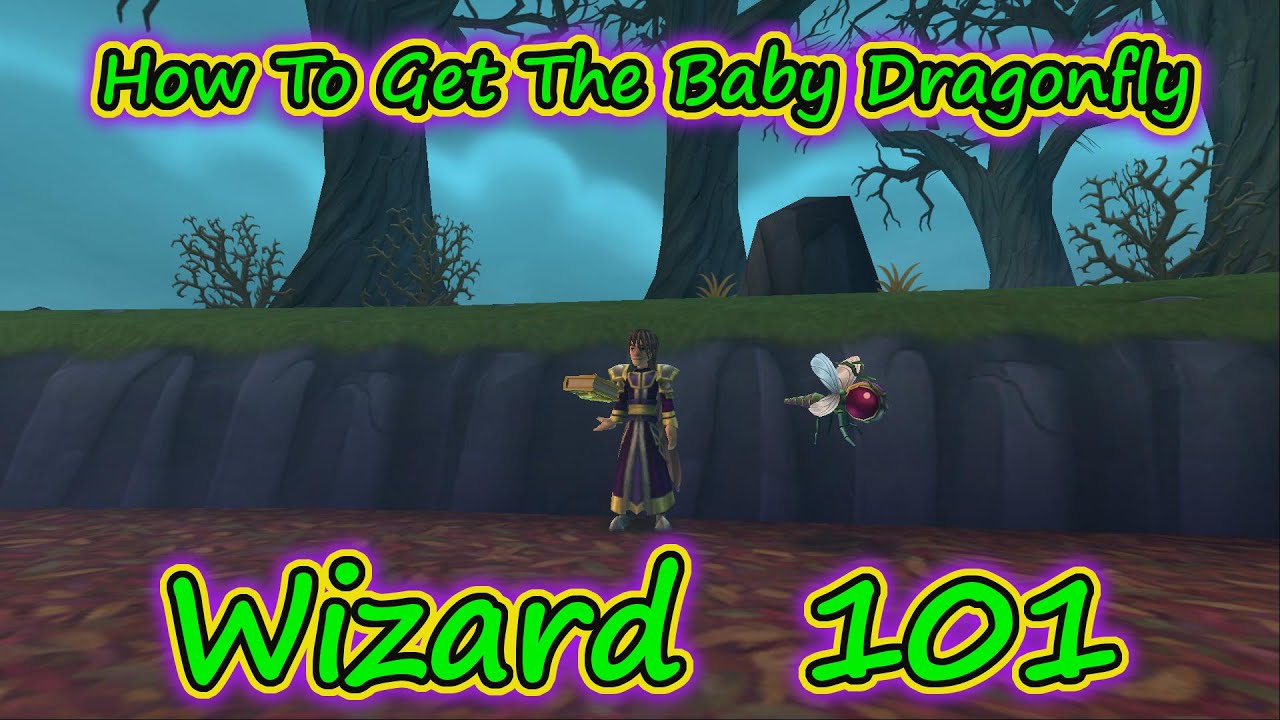 Wizard101: How to Get the Baby Dragonfly Pet - Epic New Mystery Pet ...
