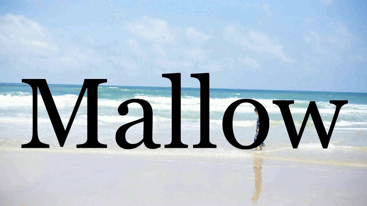 How To Pronounce Mallow Pronunciation Of Mallow YouTube how-to-pronounce-mallow-pronunciation-of-mallow-youtube