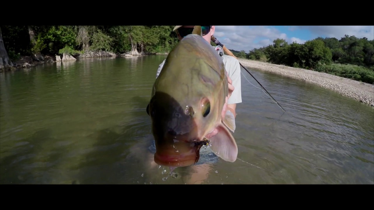 The Finest Way of Fishing Doc - YouTube