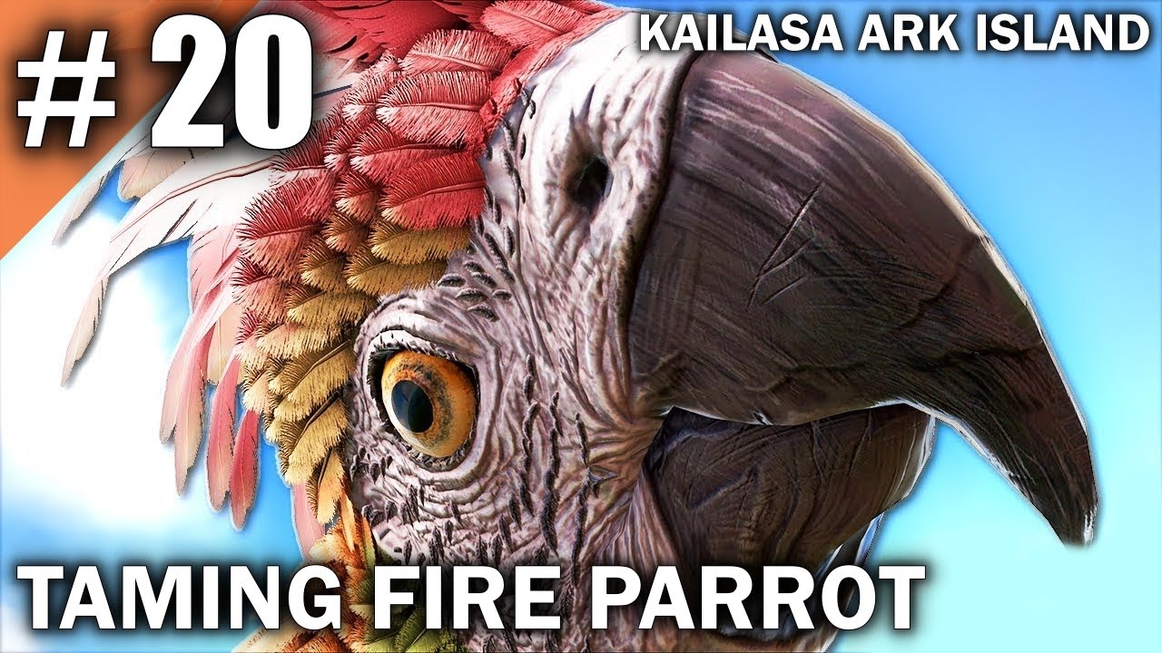 Taming Fire Parrot | Kailasa Ark Island | ARK: Survival Evolved ...