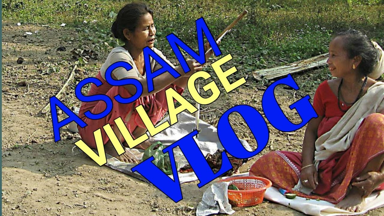 Assam village lifestyle / village vlog assam - YouTube