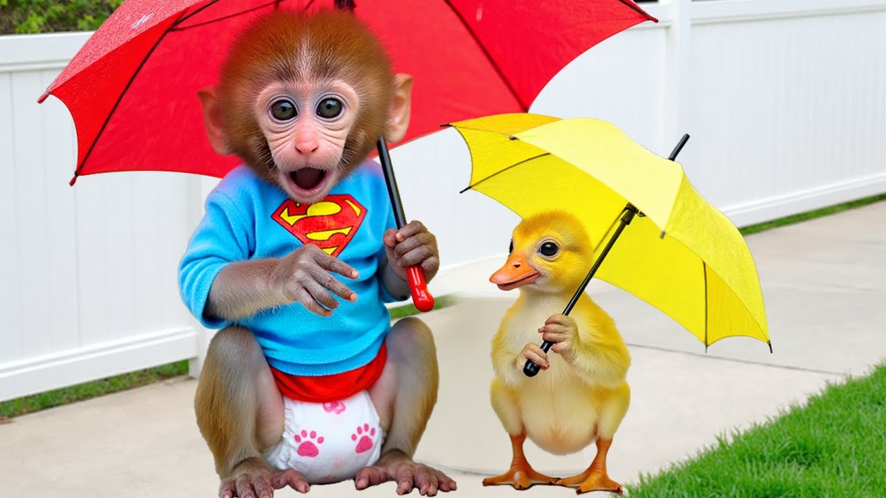 Monkey Baby Bon Bon and the puppy face off against the shark monster ...