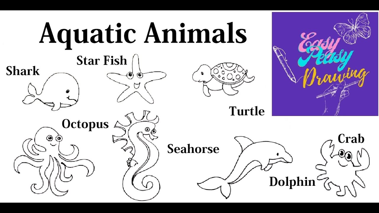 Easy and simple Aquatic Animal Drawing - YouTube