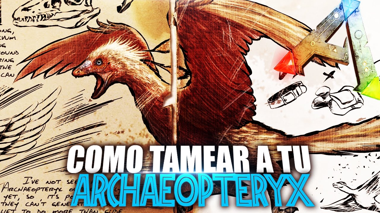 COMO TAMEAR A TU ARCHAEOPTERYX | Guia Español | Ark: Survival Evolved ...