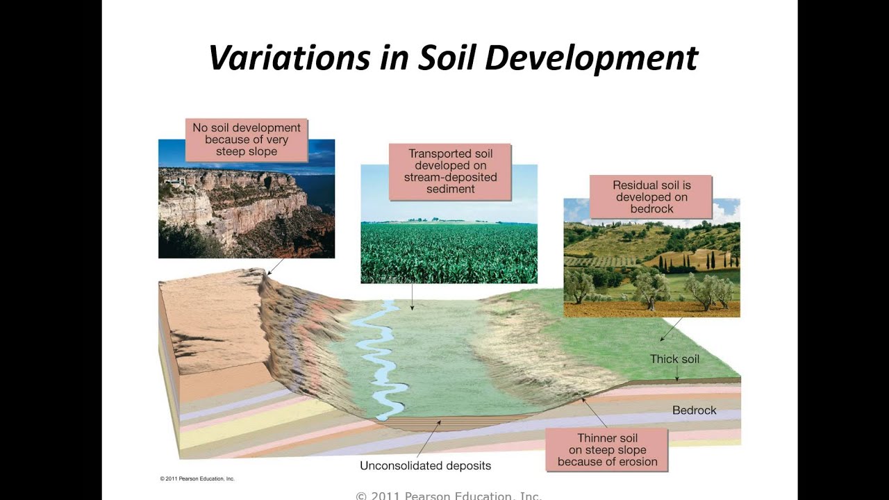 Intro to OTC Geology w/ Jim Caffey: Chapter 6 Soils - YouTube