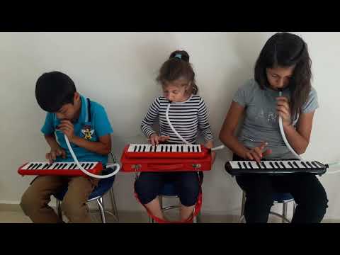 Kutu kutu pense melodika