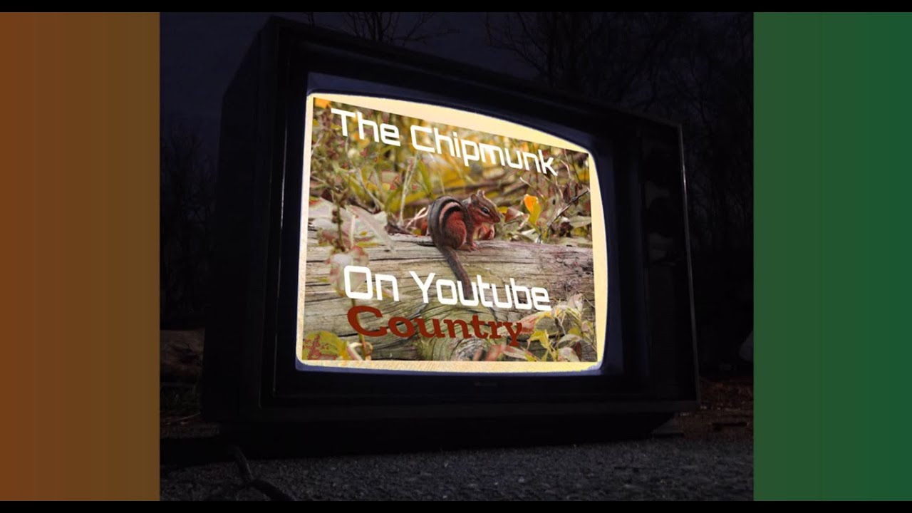 Hunter Erwin - Back to You (Lyric Video) [Genre: Country] - YouTube