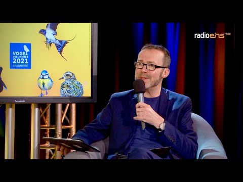 Rotkehlchen I Vogel des Jahres 2021